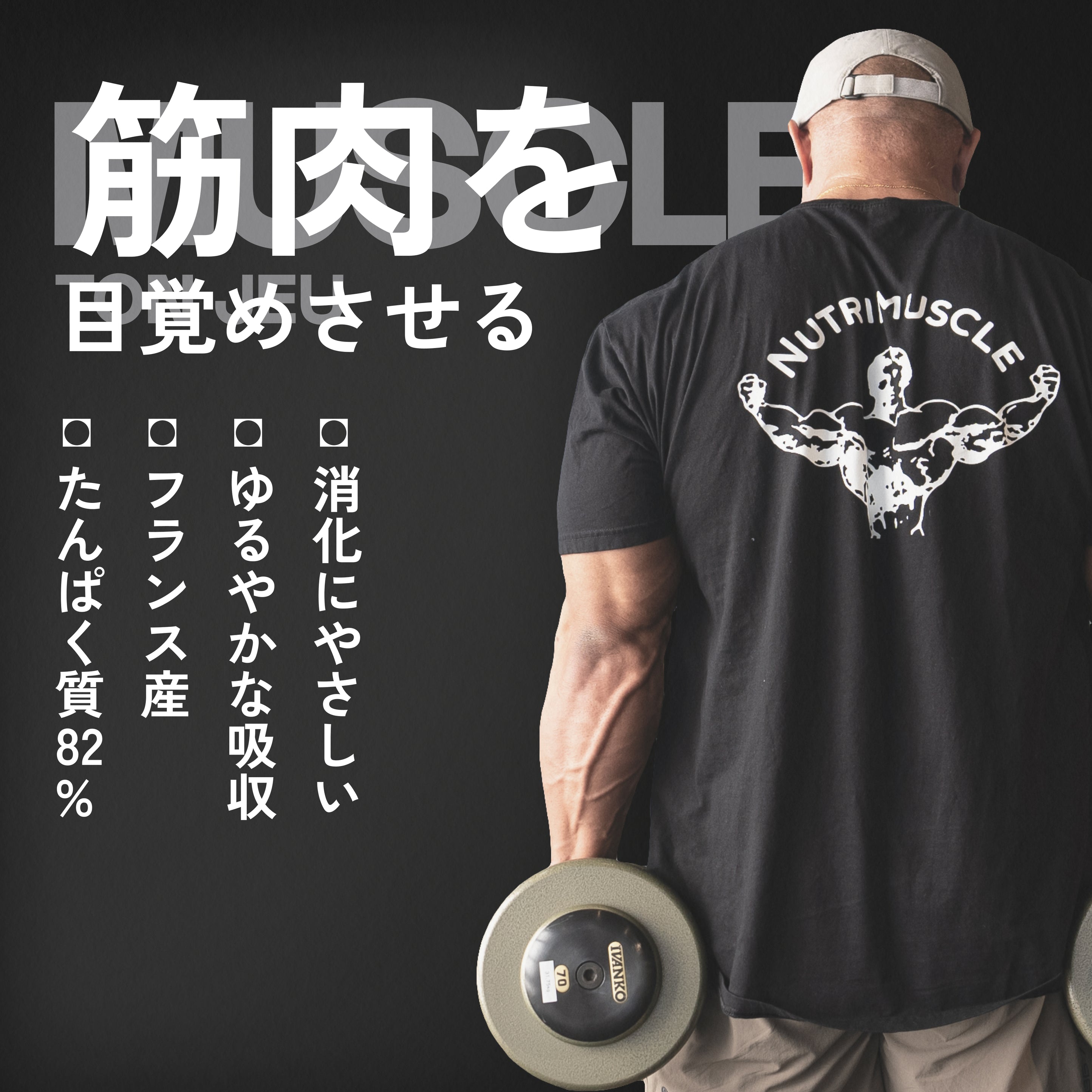 エッグプロテインパウダー - Nutrimuscle – Nutrimuscle Japan